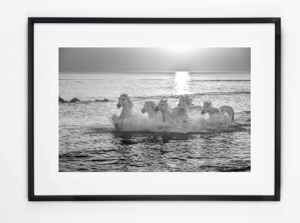 Hockensmith Fine Art Editions Gallery and Press