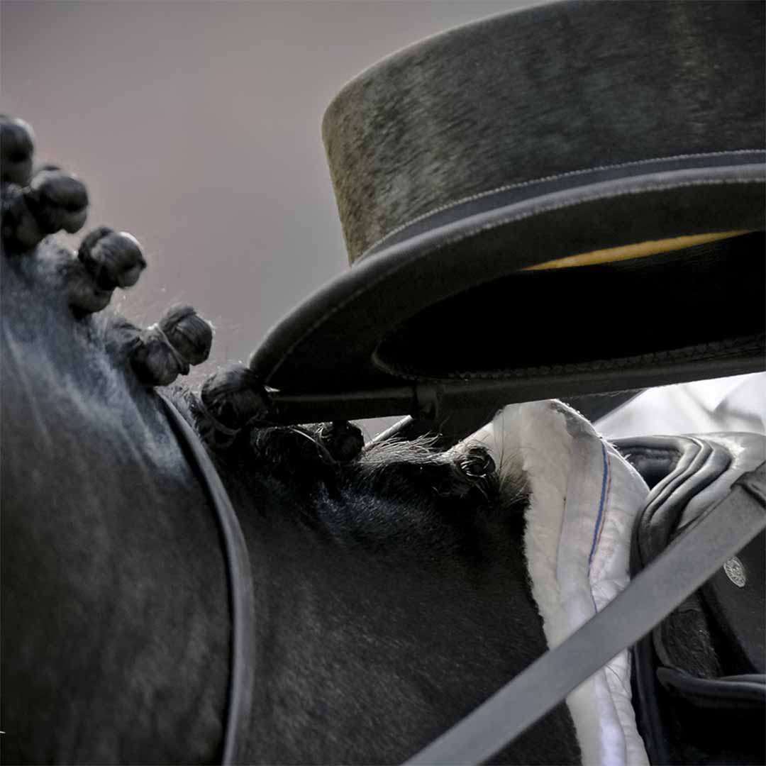 Hockensmith Equine Collection - Hockensmith's Fine Art Editions Gallery ...