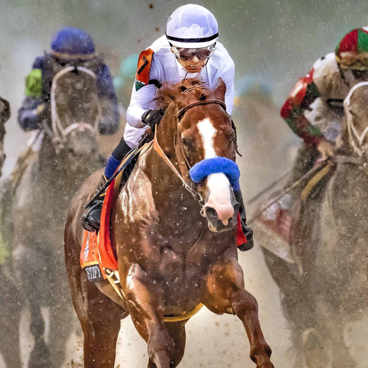 Hockensmith Equine Collection - Hockensmith's Fine Art Editions Gallery ...