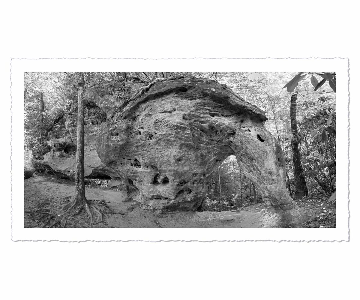 Hockensmith Fine Art Editions Gallery and Press