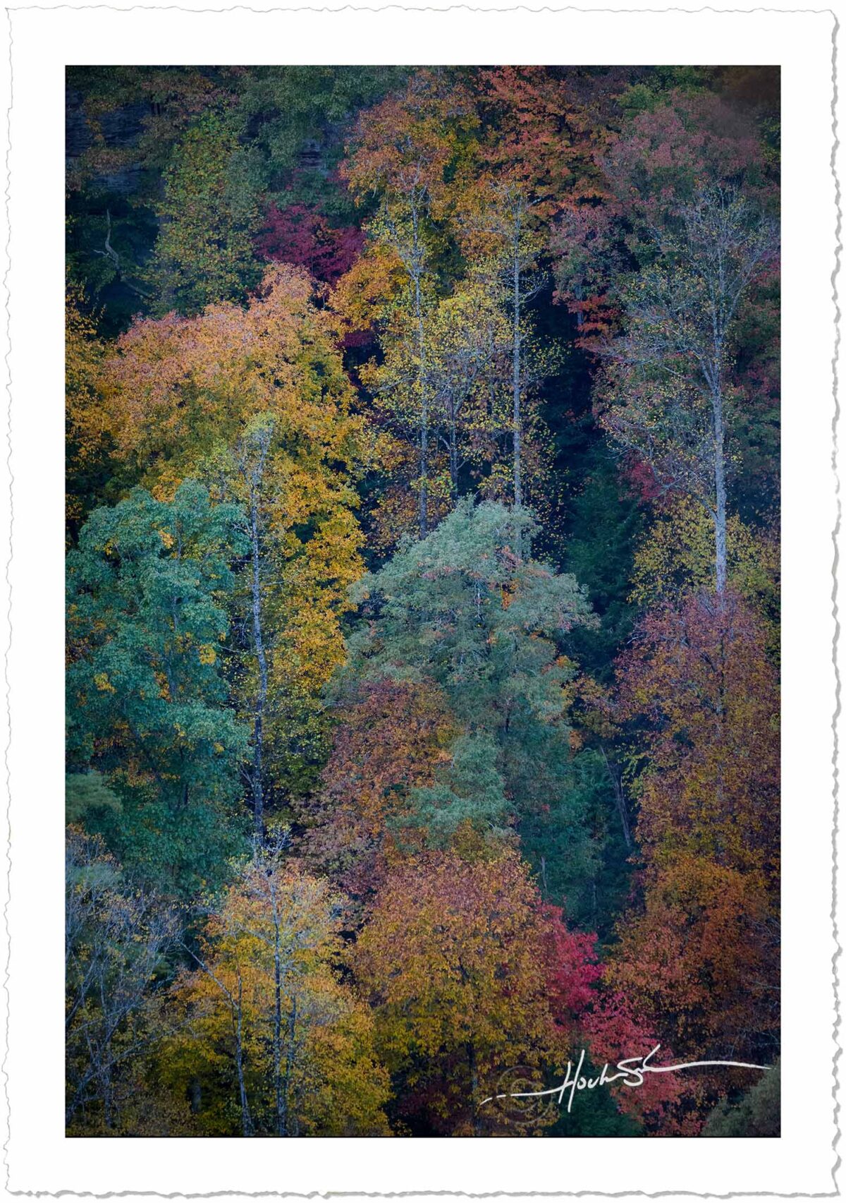 Autumn Patchwork - Hockensmith's Fine Art Editions Gallery and Press