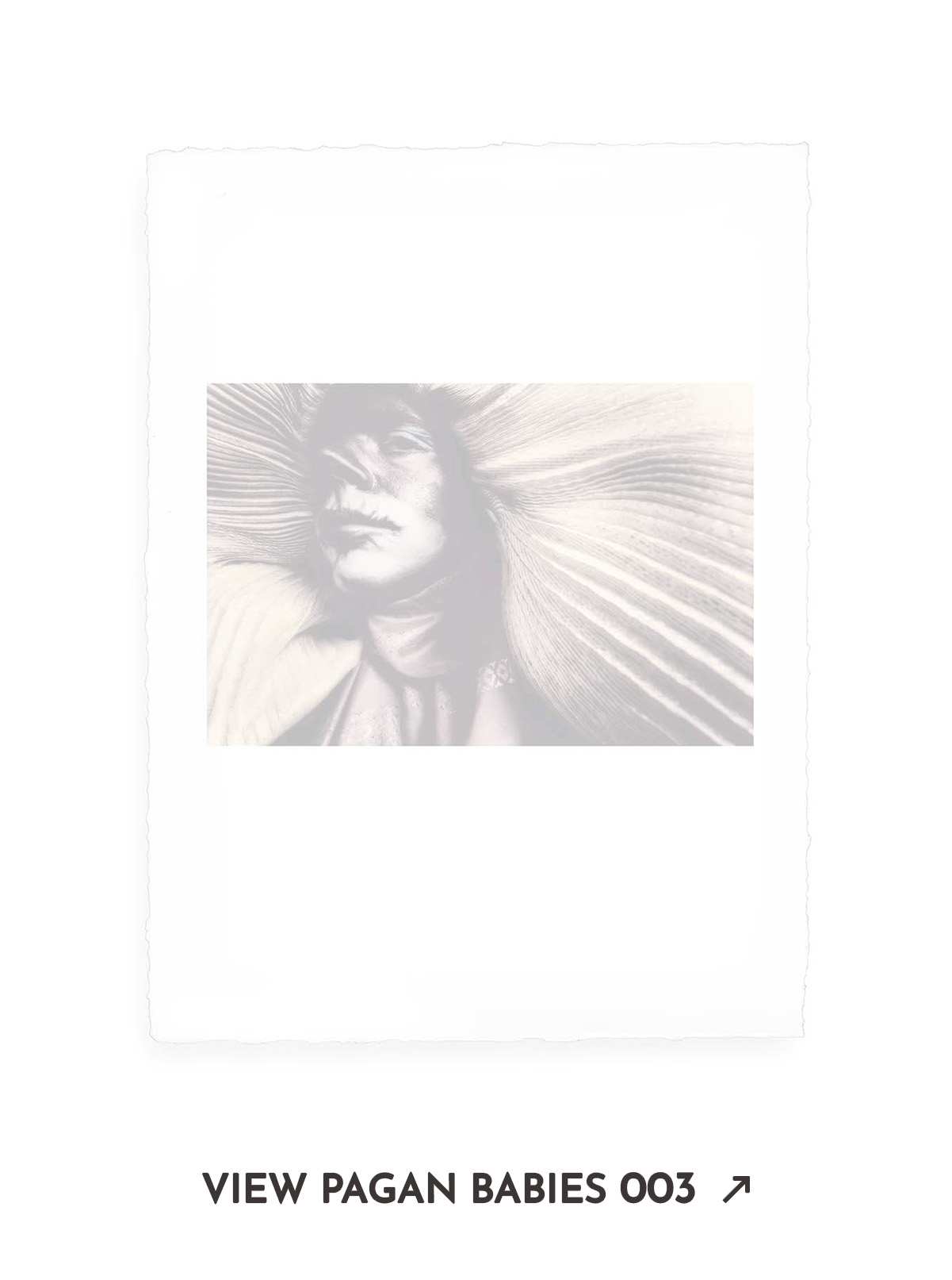 Bob Morgan - Hockensmith's Fine Art Editions Gallery and Press